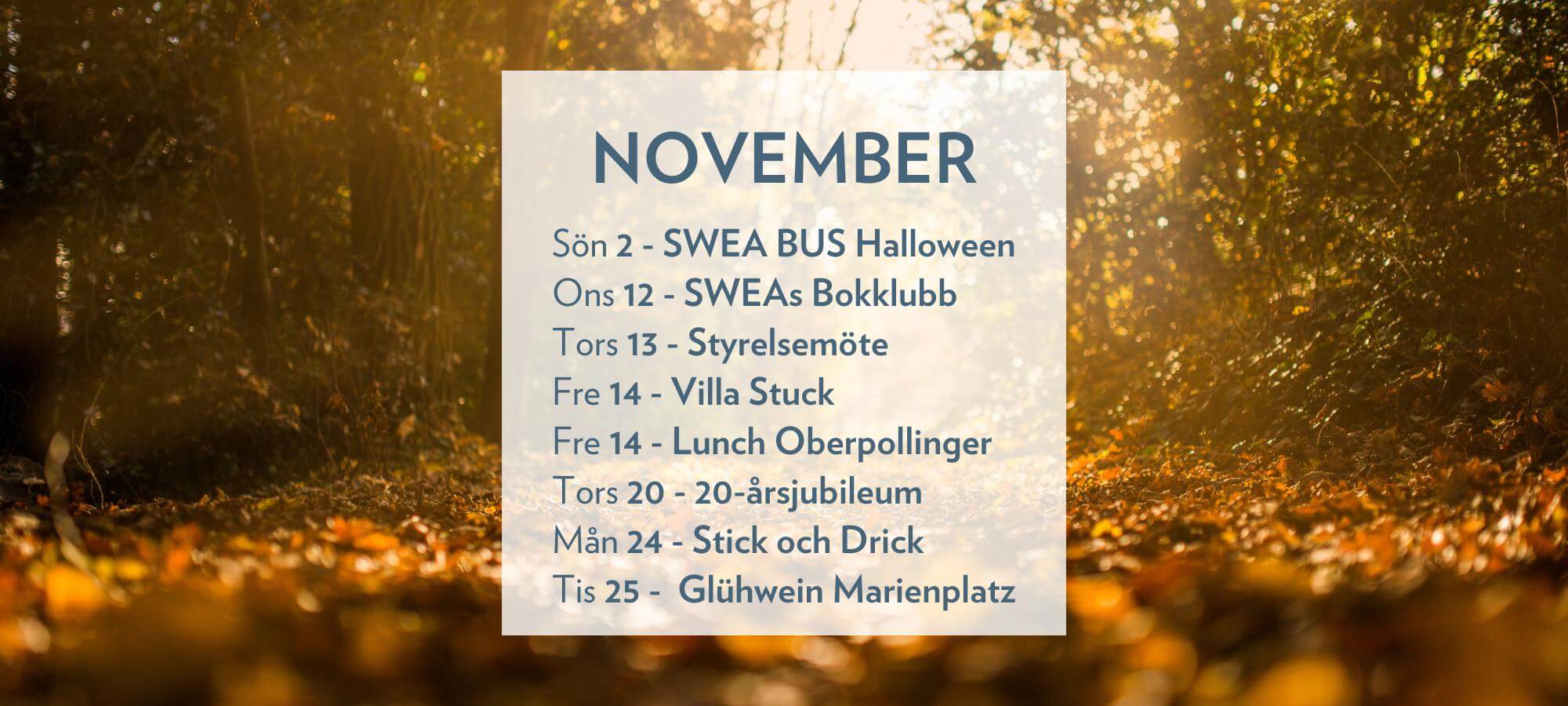 Det händer i november! - SWEA München